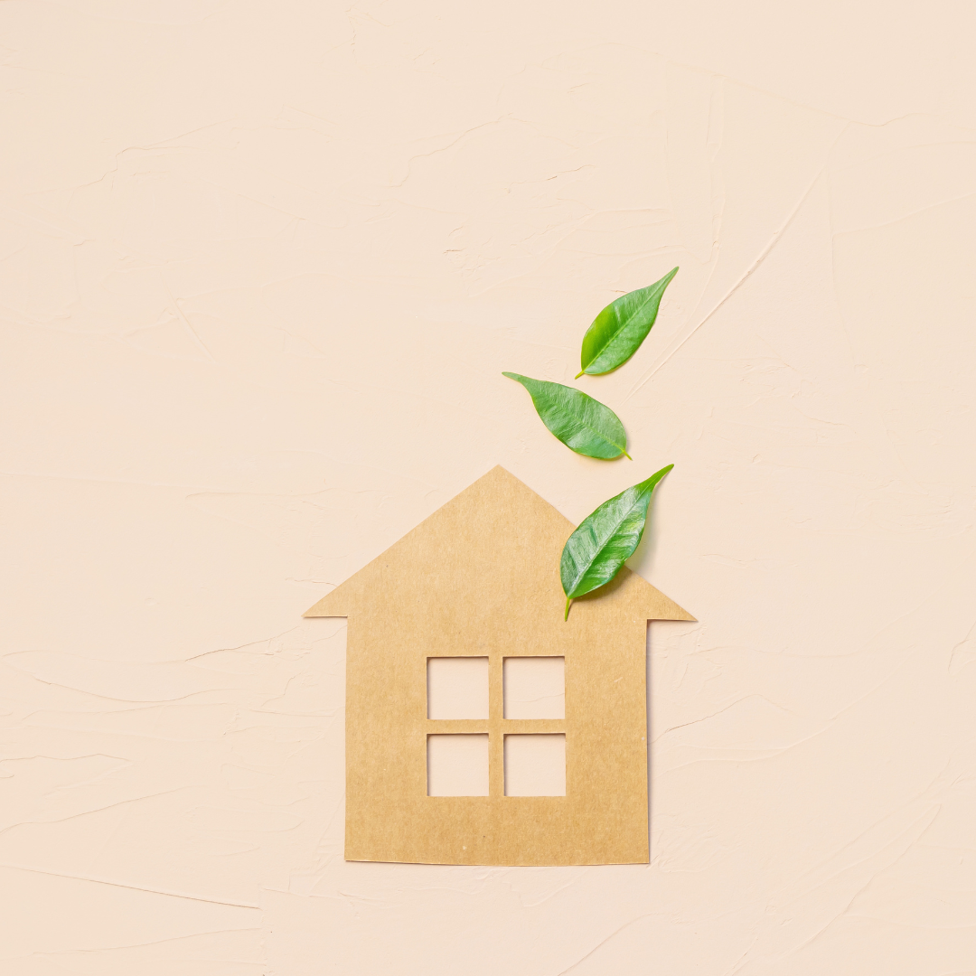 Guía Completa para un Hogar Sostenible: Consejos y Productos Eco ...